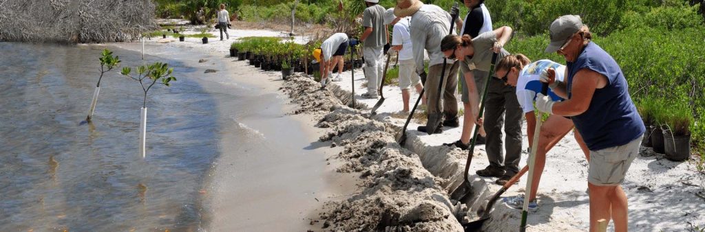 Restore Our Shores - Indian River Lagoon Conservation
