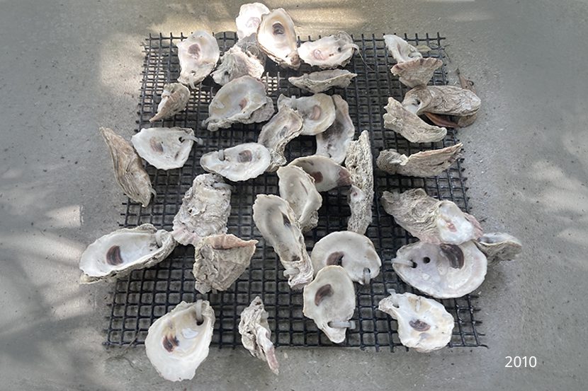 Oyster Reefs - Restore Our Shores