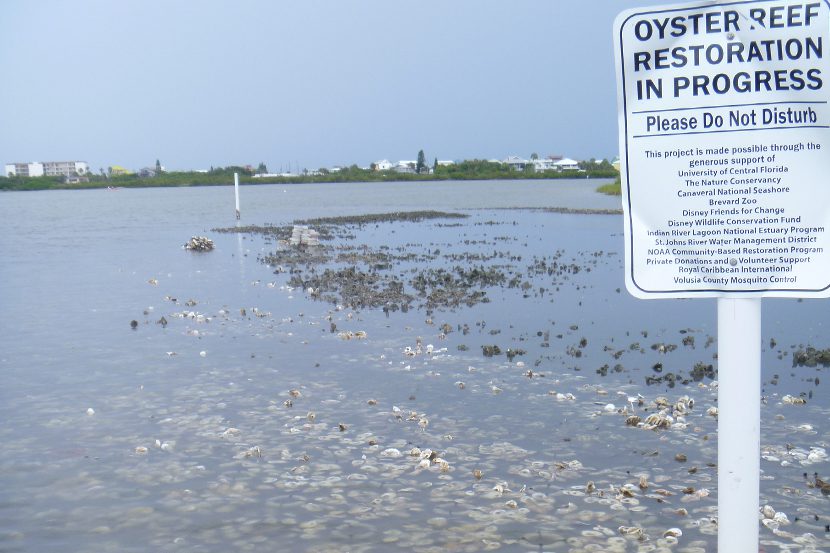 Oyster Reefs - Restore Our Shores