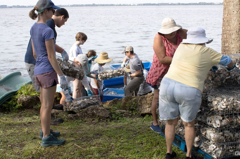 Oyster Reefs - Restore Our Shores