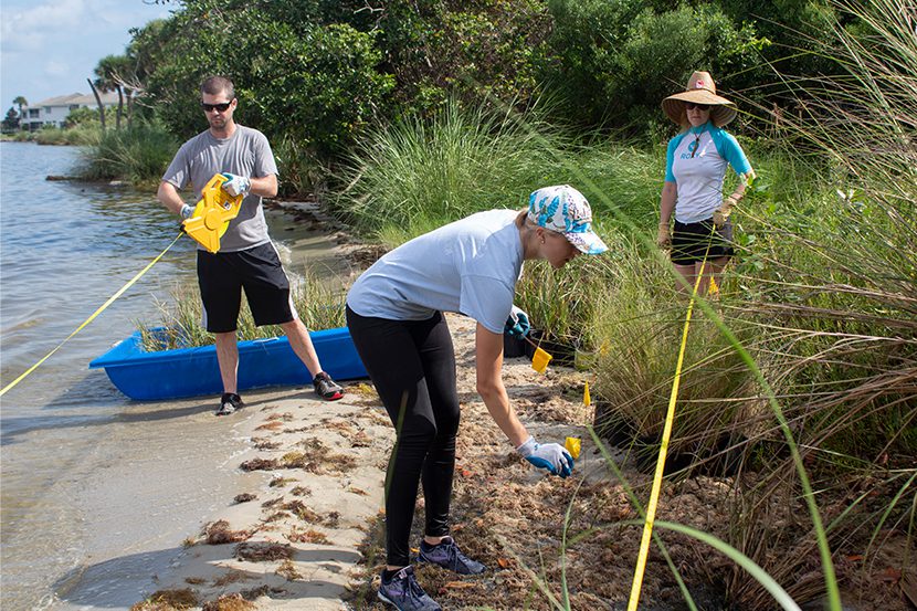 Buffer Zones - Restore Our Shores