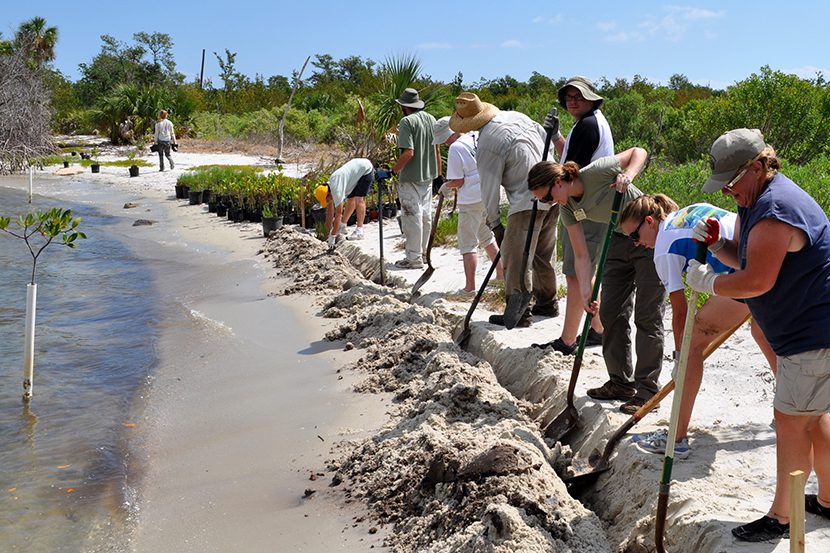 Buffer Zones - Restore Our Shores