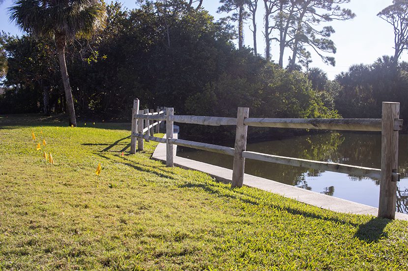 Buffer Zones - Restore Our Shores