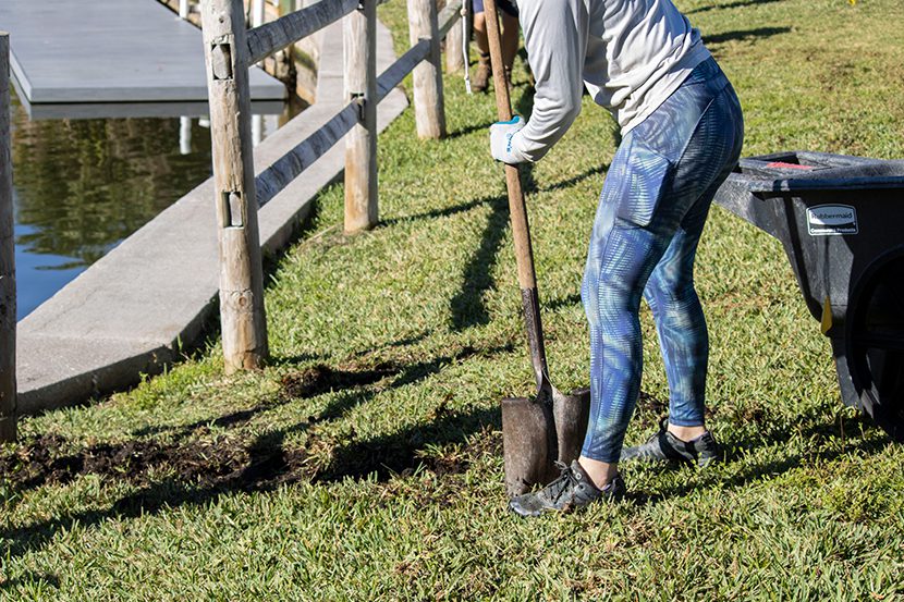 Buffer Zones - Restore Our Shores