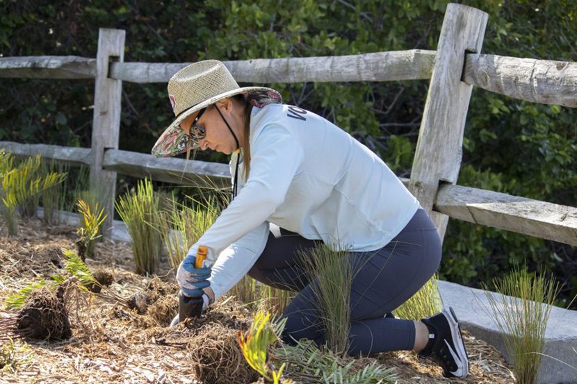 Buffer Zones - Restore Our Shores