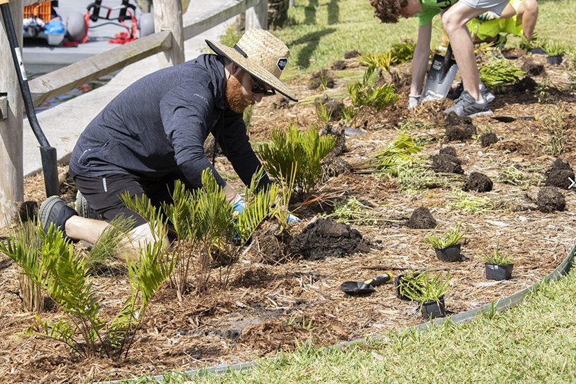 Buffer Zones - Restore Our Shores