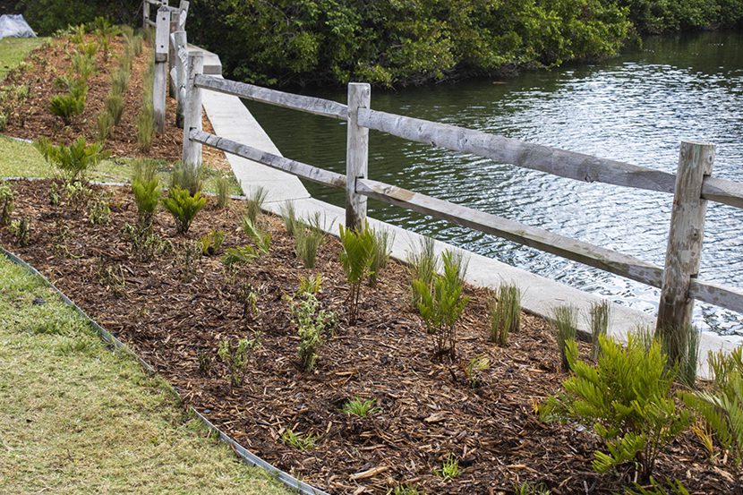 Buffer Zones - Restore Our Shores